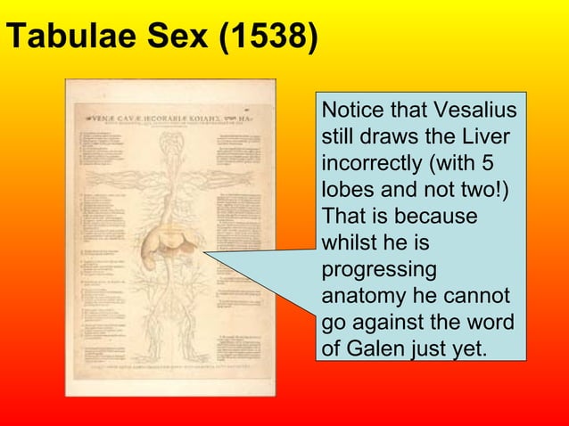 Renaissance Anatomy | PPT