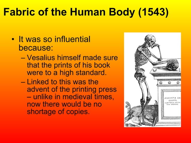 Renaissance Anatomy | PPT