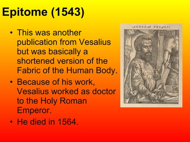Renaissance Anatomy | PPT