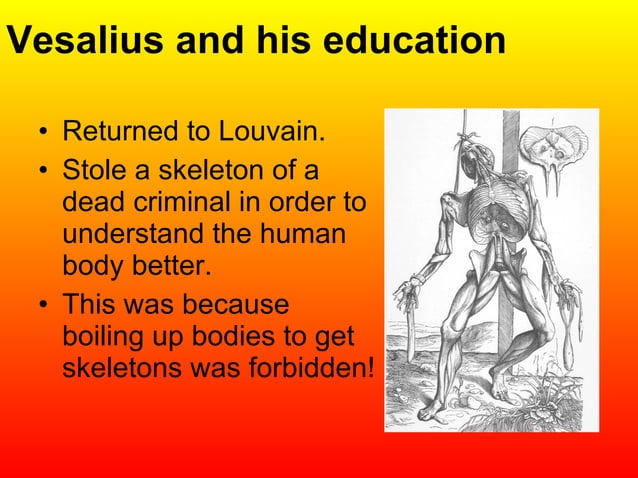 Renaissance Anatomy | PPT