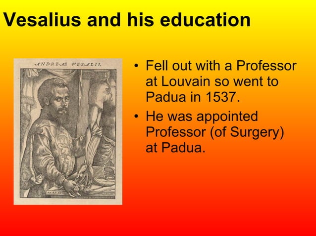 Renaissance Anatomy | PPT