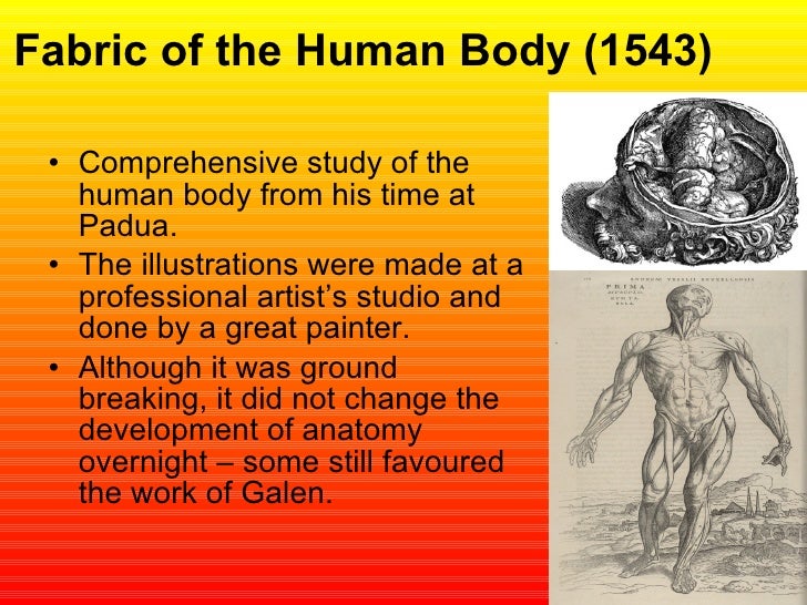 Renaissance Anatomy