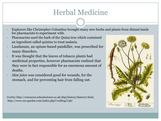 Renaissance Medicine | PPTX