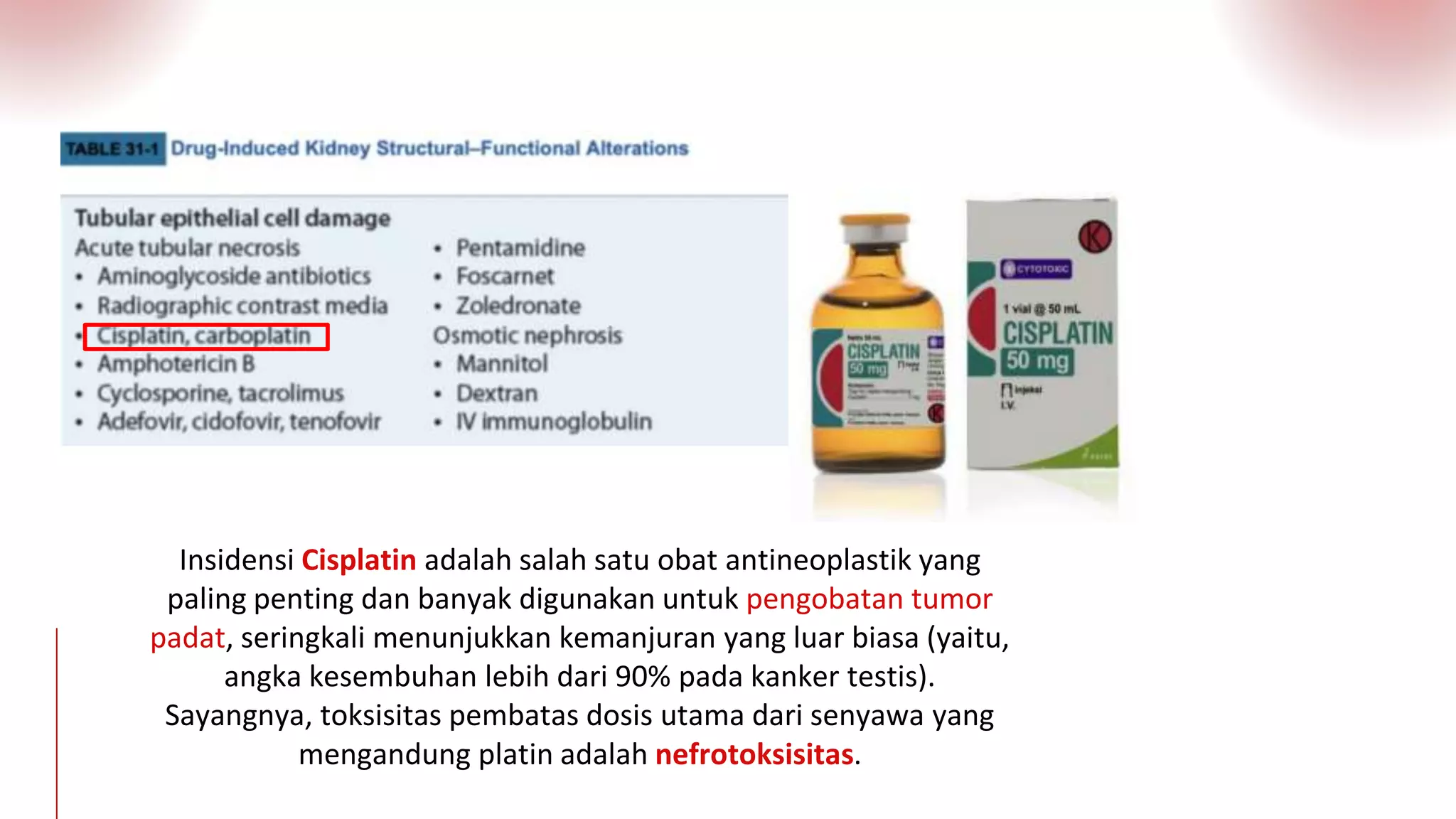 OBAT YANG MENGINDUKSI NEFROTOKSISITAS | PPTX