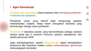 OBAT YANG MENGINDUKSI NEFROTOKSISITAS | PPTX