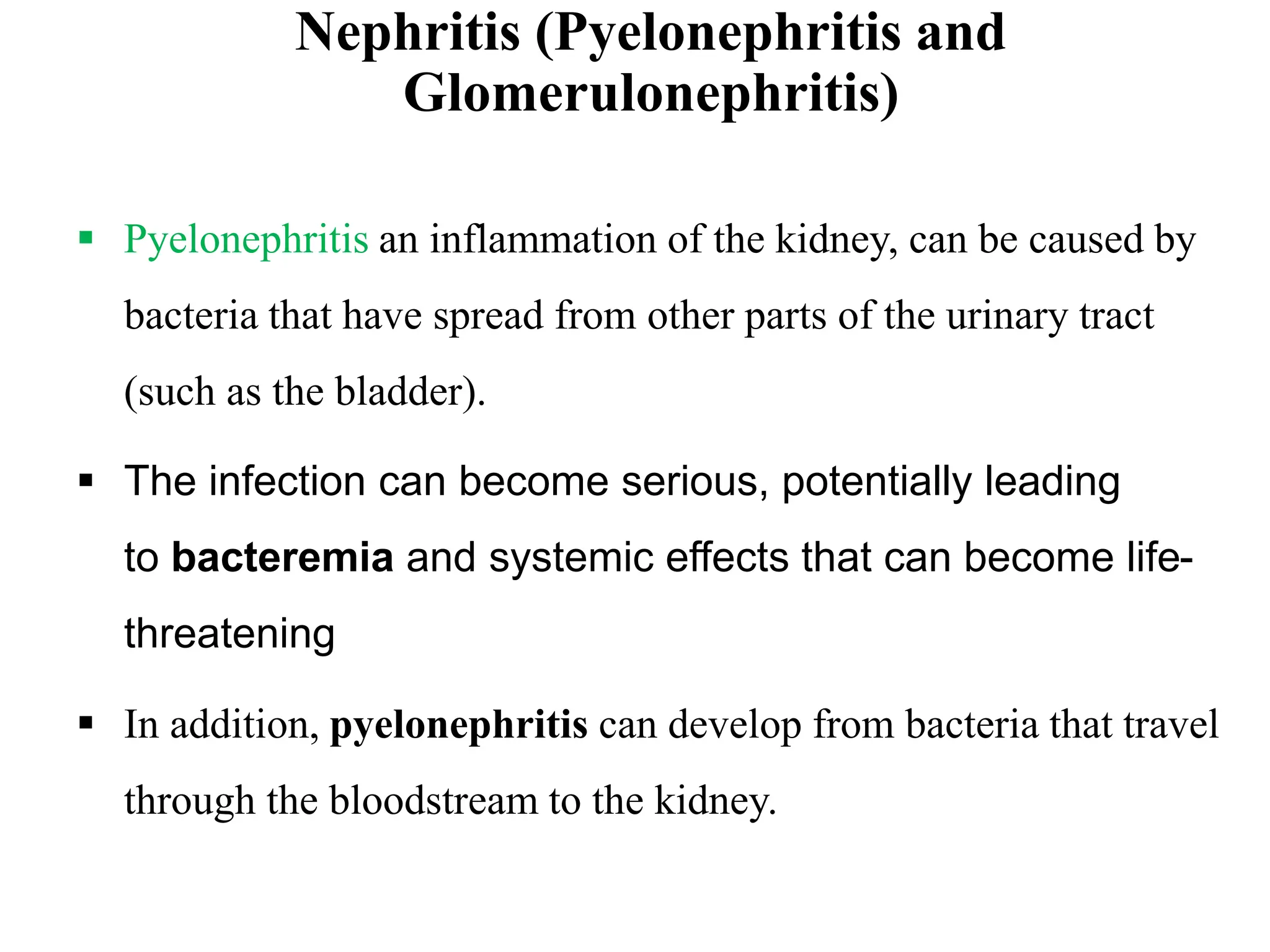 Explain brief anatomical structure and function of renal system Discuss ...