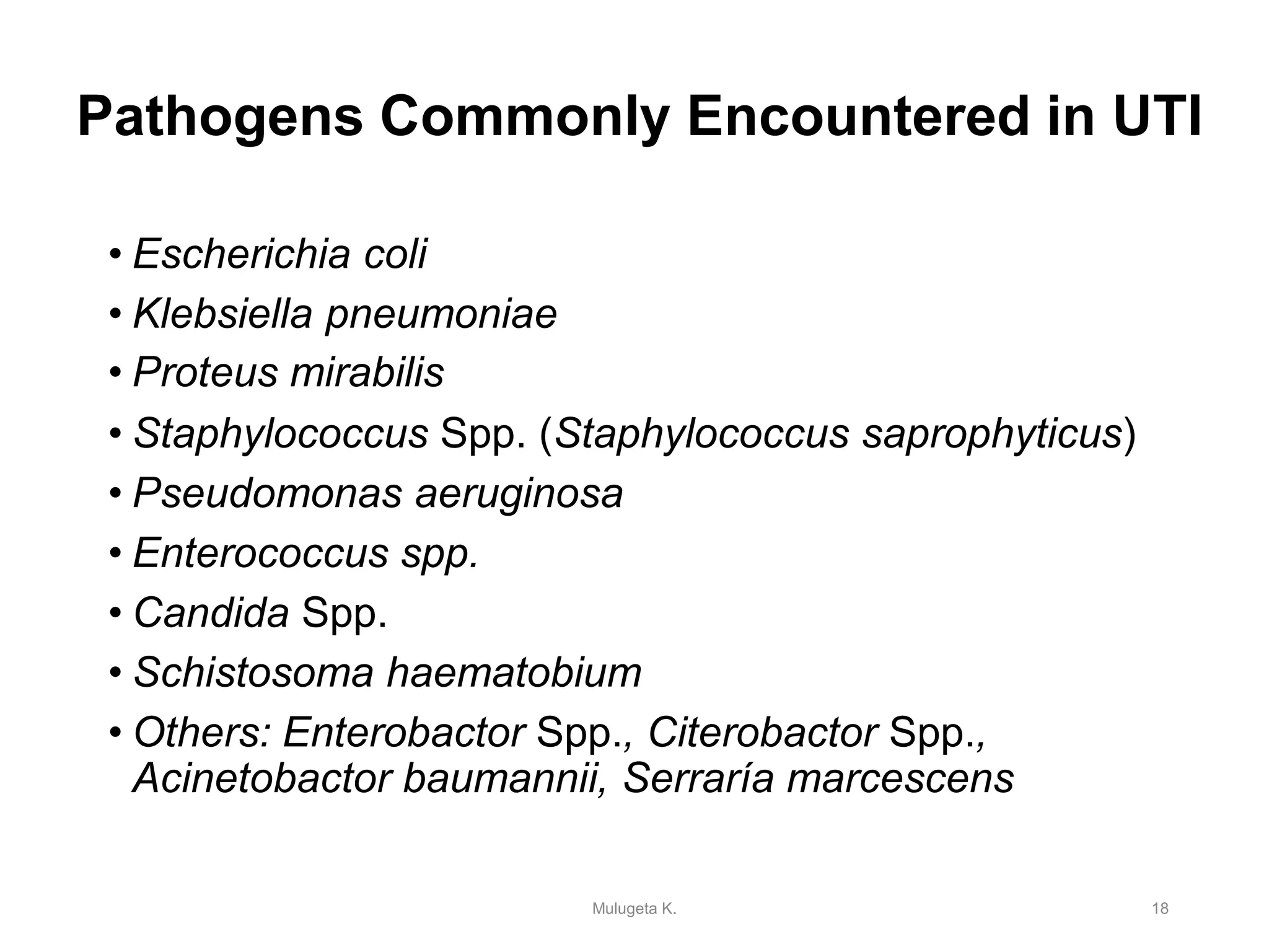 Explain brief anatomical structure and function of renal system Discuss ...