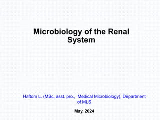 Explain brief anatomical structure and function of renal system Discuss ...