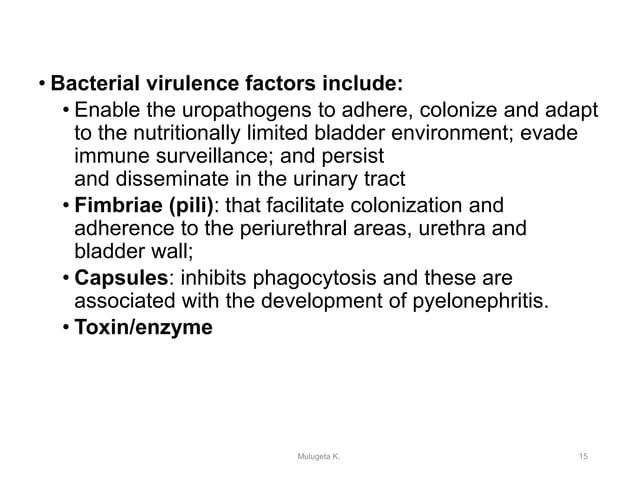 Explain brief anatomical structure and function of renal system Discuss ...