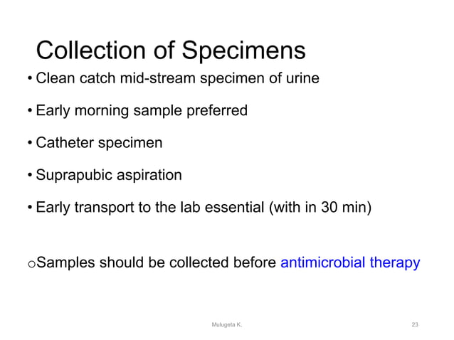 Explain brief anatomical structure and function of renal system Discuss ...