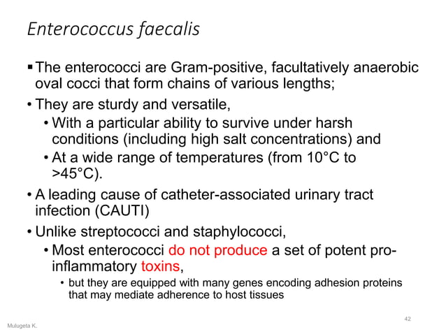 Explain brief anatomical structure and function of renal system Discuss ...