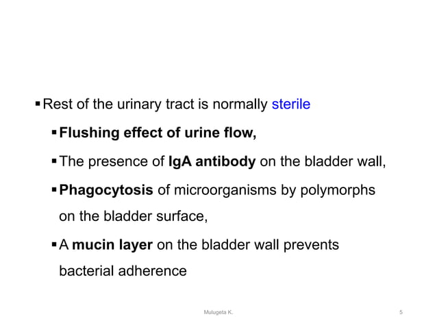 Explain brief anatomical structure and function of renal system Discuss ...