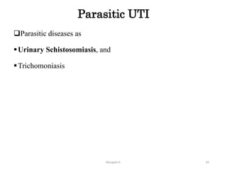 Explain brief anatomical structure and function of renal system Discuss ...
