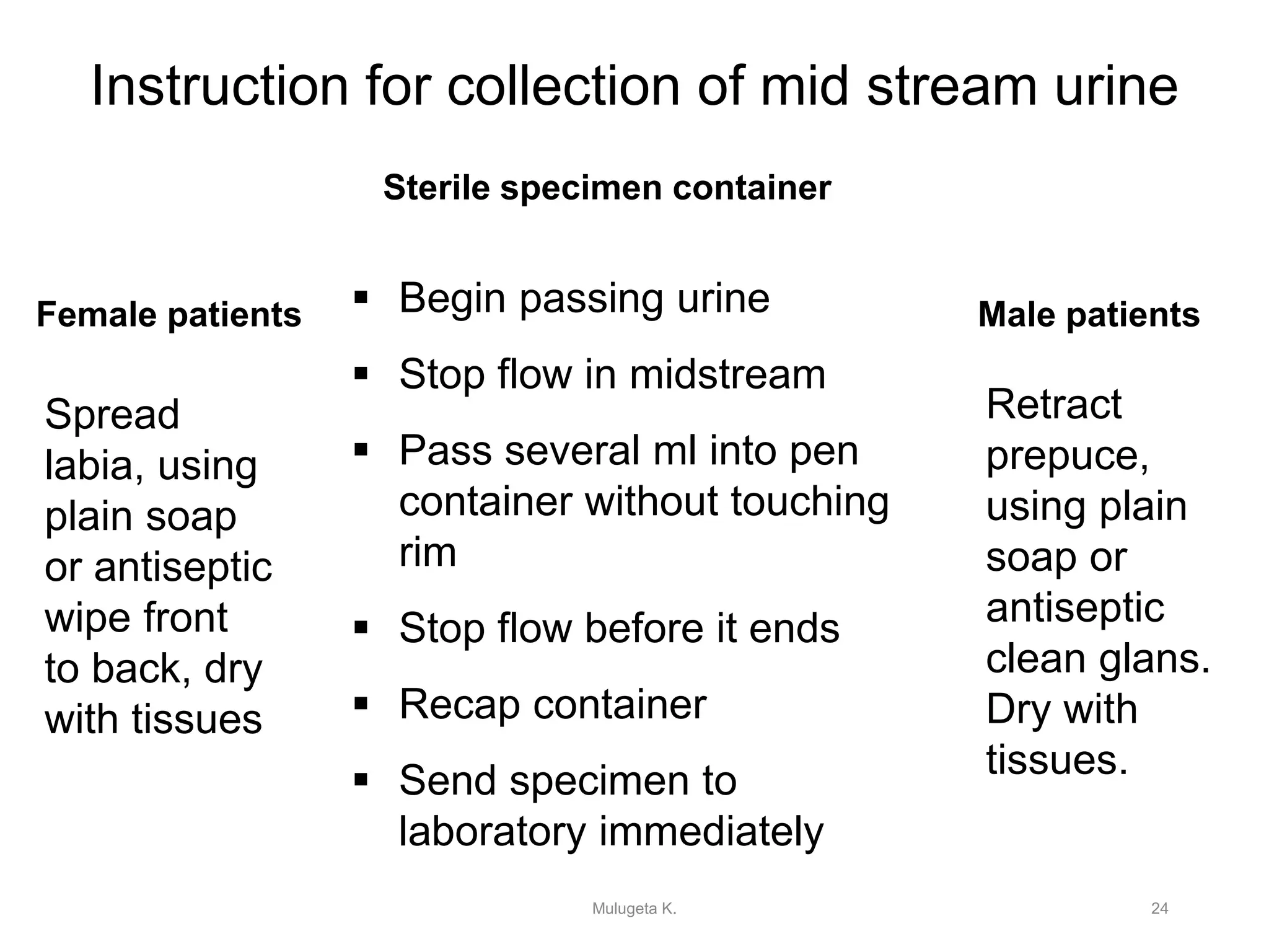 Explain brief anatomical structure and function of renal system Discuss ...