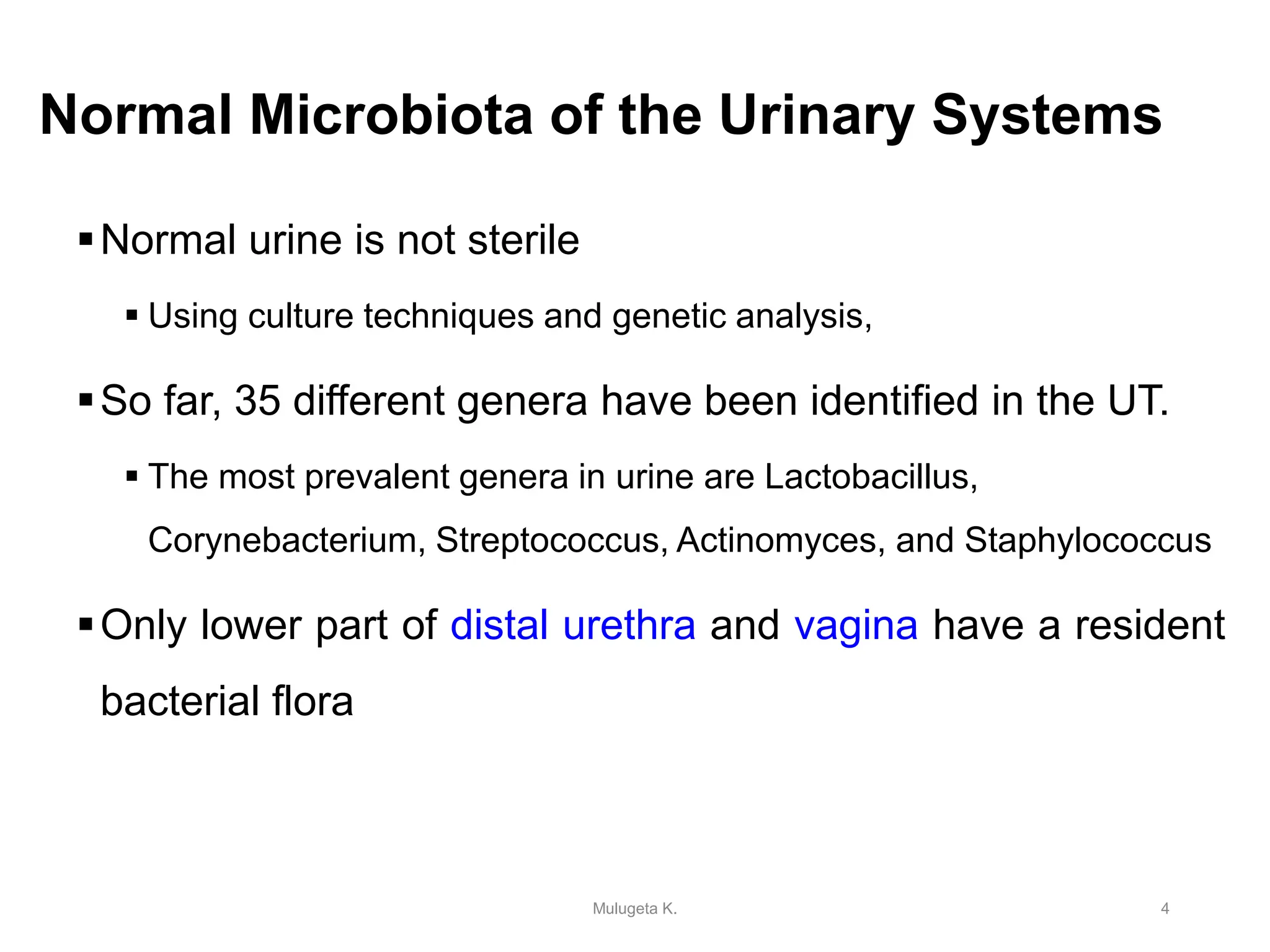 Explain brief anatomical structure and function of renal system Discuss ...