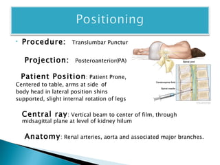 Renal Arteriogram | PPT
