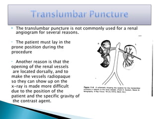 Renal Arteriogram | PPT