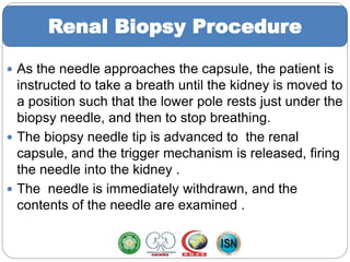 Renal biopsy | PPTX