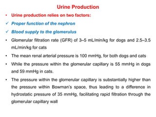 RENAL-DISEASE small animal medicine -I.pptx