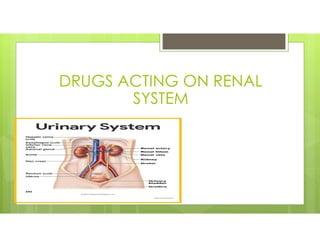 renal-drugs.pdf and gI tract helps you know | PDF