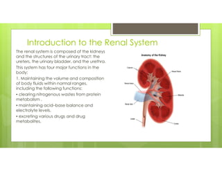 renal-drugs.pdf and gI tract helps you know | PDF