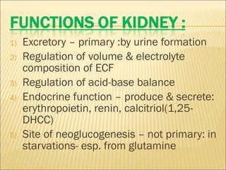 Renal-function-tests | PPT