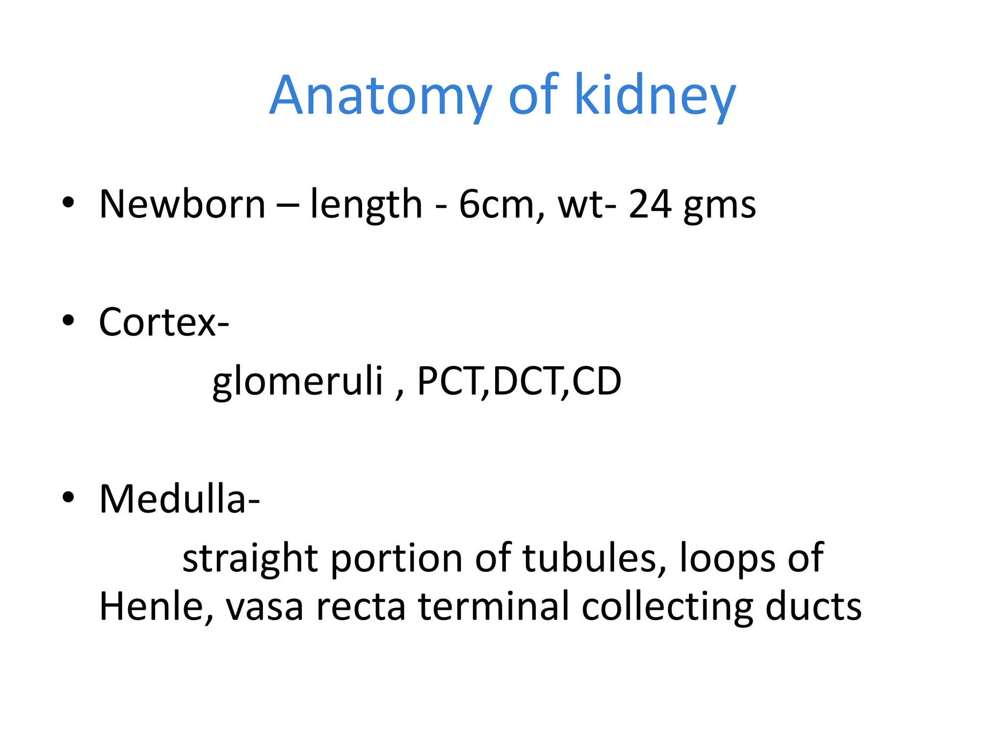 Introduction to Renal System and Hematuria | PPTX