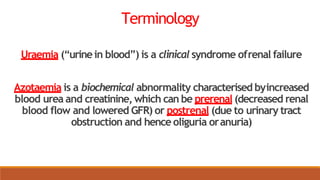 renal-pathology.pptx