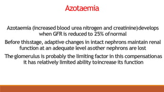 renal-pathology.pptx
