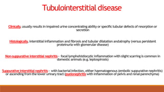renal-pathology.pptx
