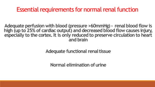 renal-pathology.pptx