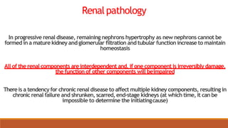 renal-pathology.pptx