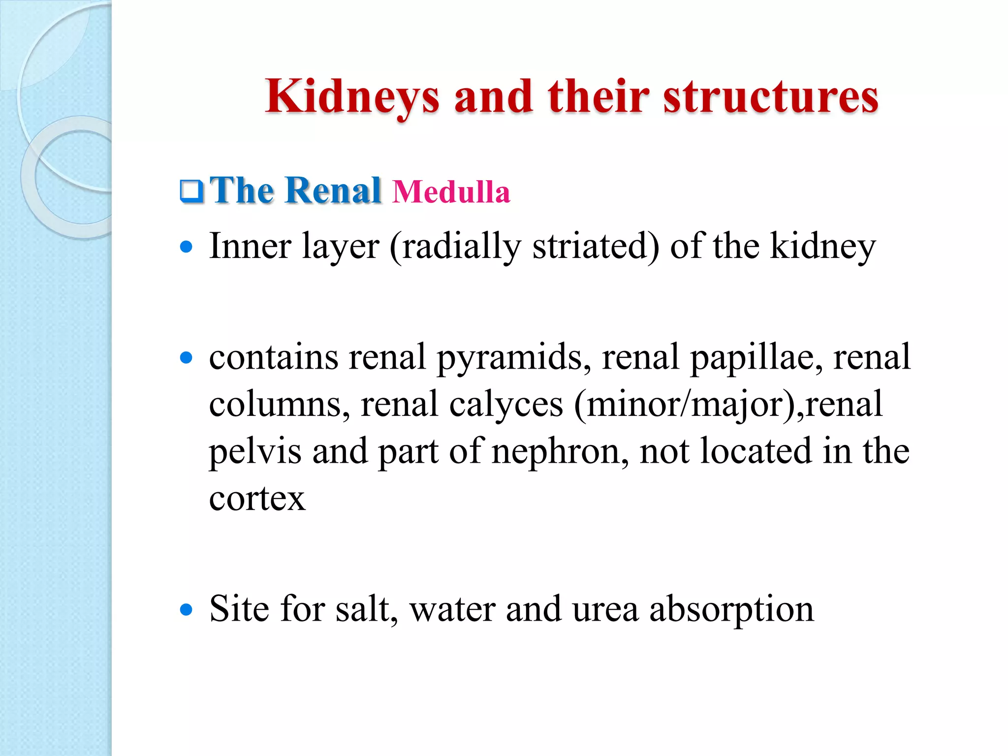 Renal physiology-1 | PPTX