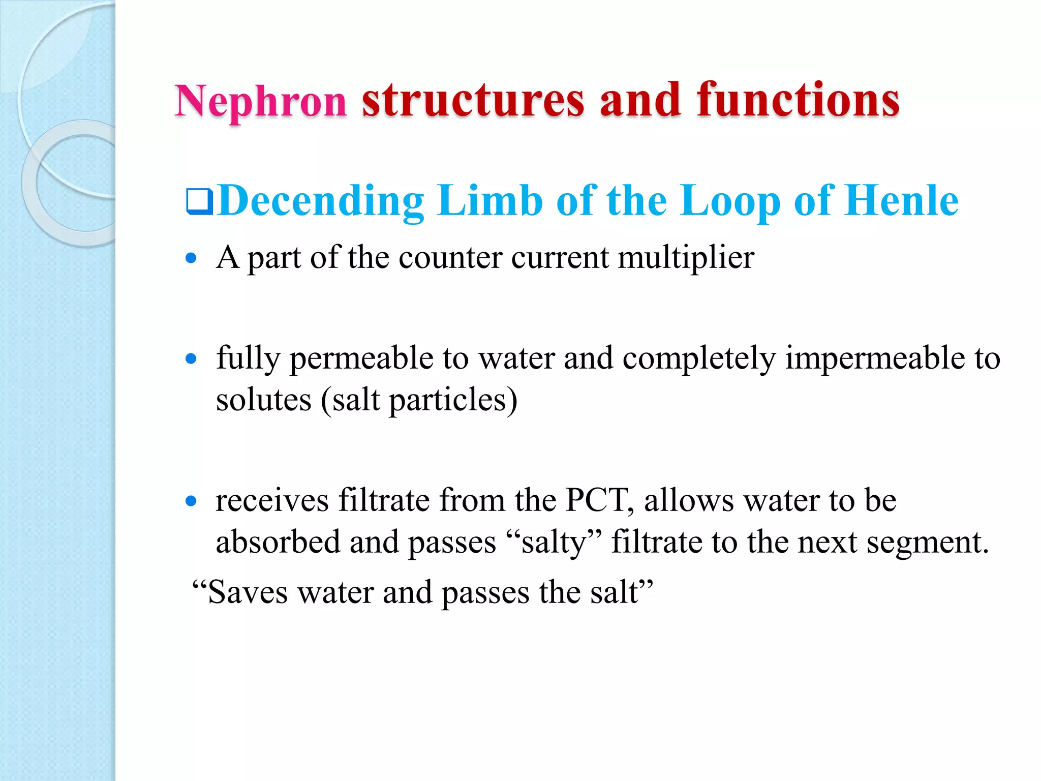 Renal physiology-1 | PPTX