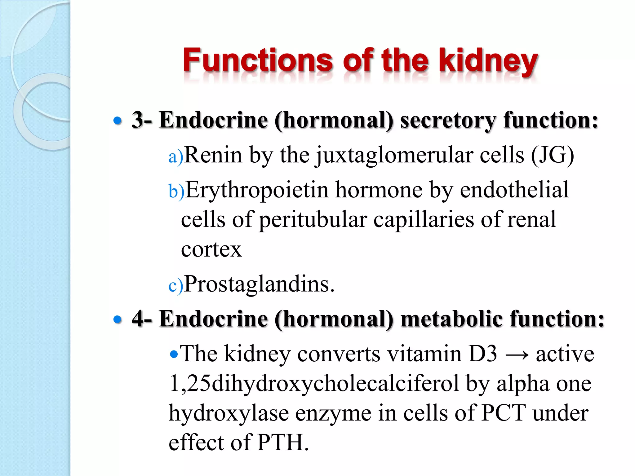 Renal physiology-1 | PPTX