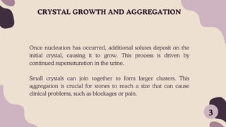 Nephrolithiasis, pathophysiology and types | PDF