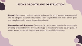 Nephrolithiasis, pathophysiology and types | PDF