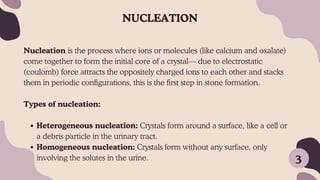 Nephrolithiasis, pathophysiology and types | PDF