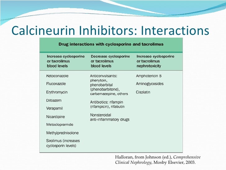 Renal Transplantation Dr. Jorge L. Posada