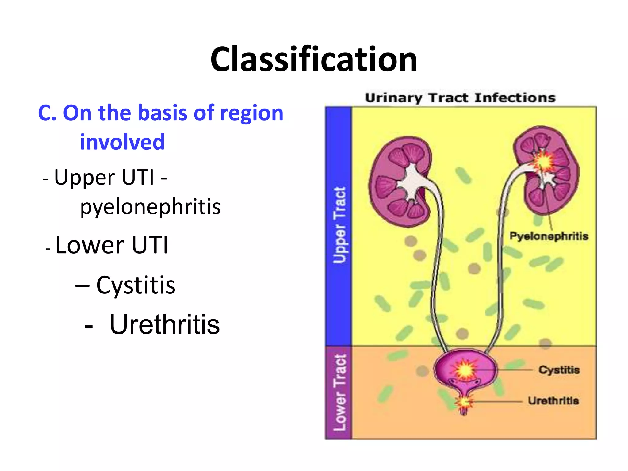 Urinary Tract Infections | PPTX