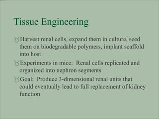 renal end stage kidney disease for patient | PPT
