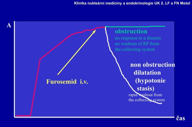 Renal Scans, Scintigraphy.pptx