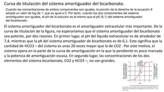 FISIOLOGIA RENAL, GENERALIDADES Y CARACTERISTICAS DEL RIÑON | PDF