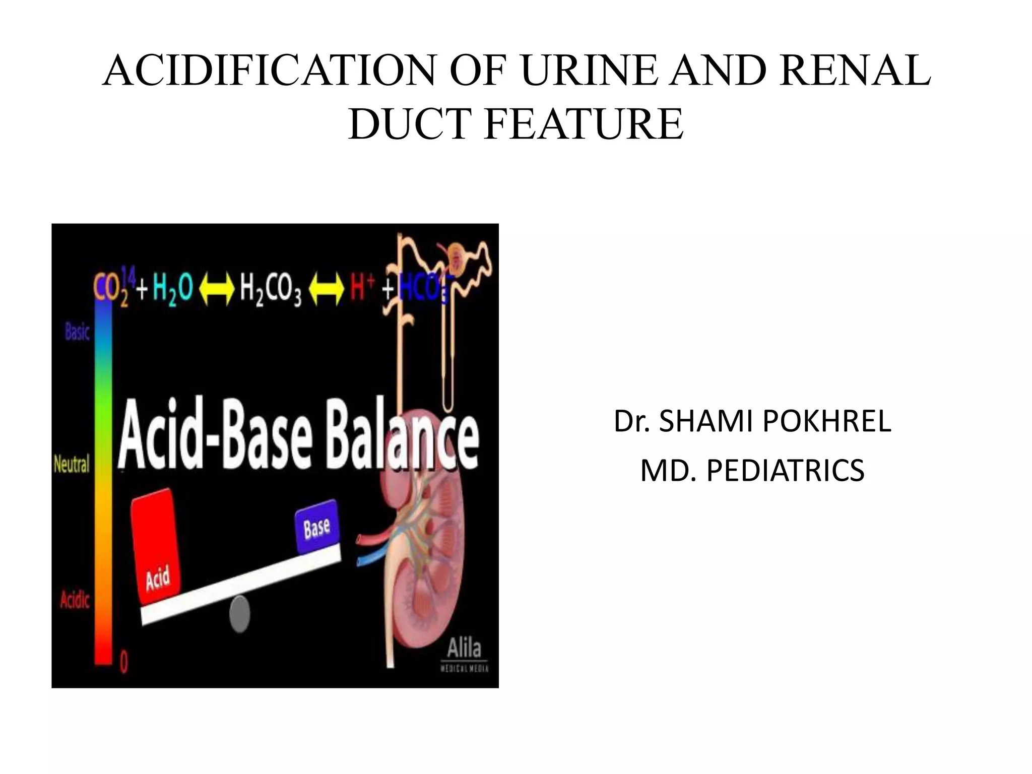 renal acid base.pptx