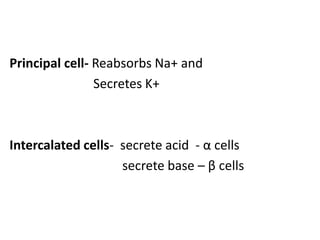 Renal acidification | PPTX