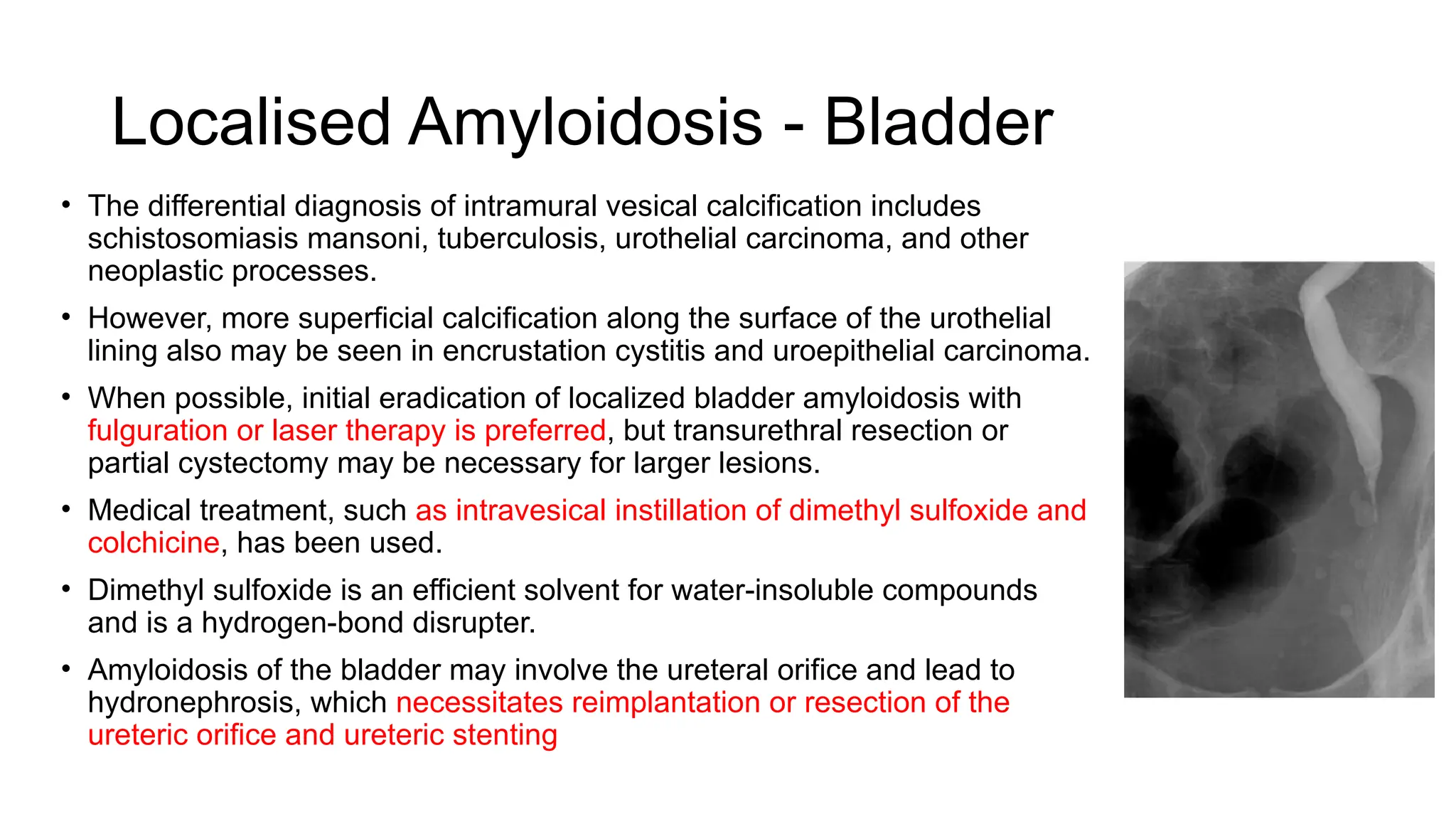 Renal Amyloidosis a in-depth review.pptx