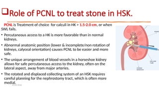 RENAL ANAMOLY PPT 2025.pptx anatomical renal abnormilities.RENAL ...