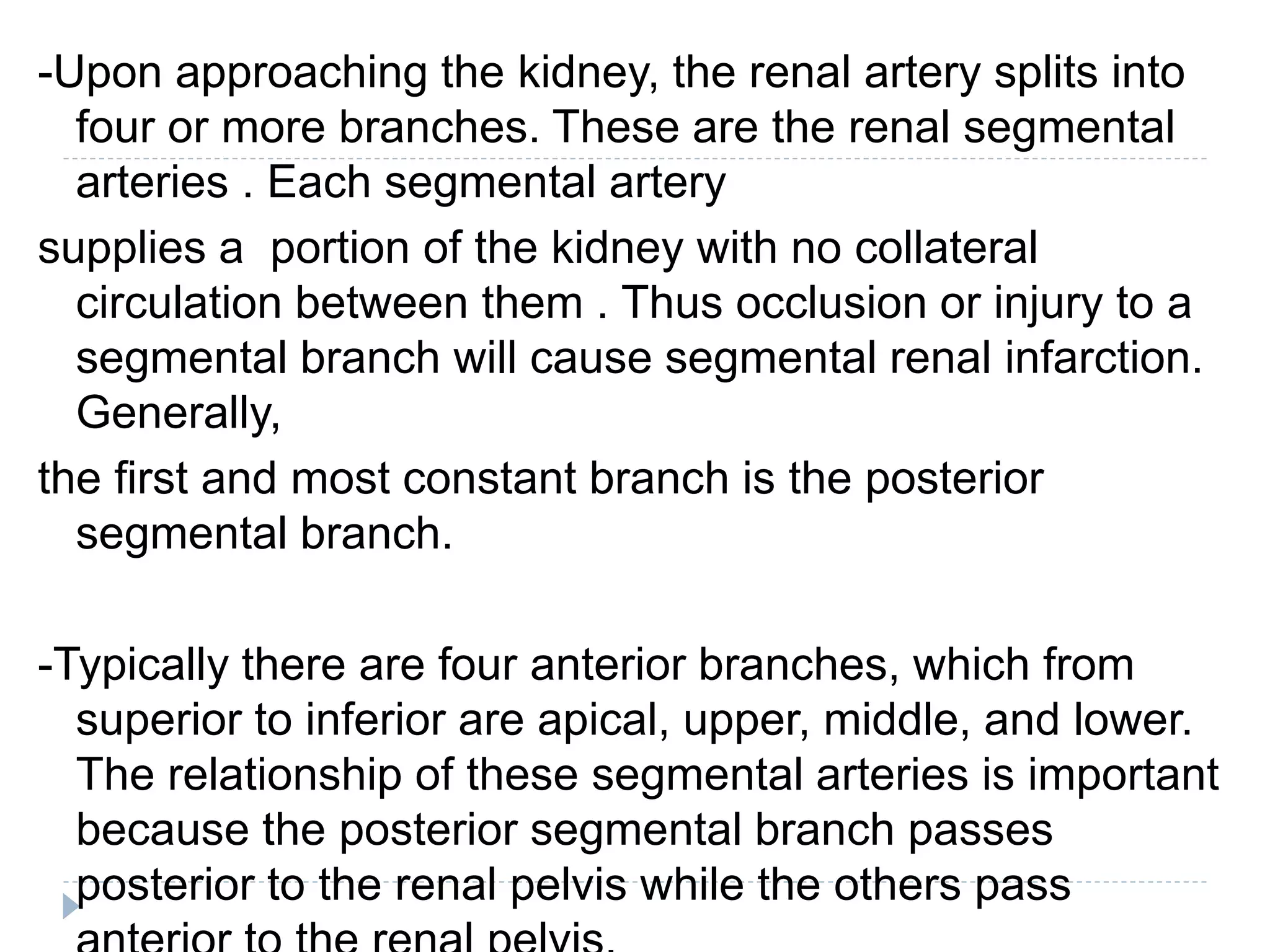 Renal anatomy | PPTX