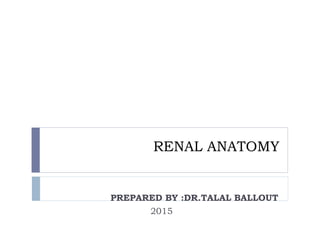 Renal anatomy | PPTX