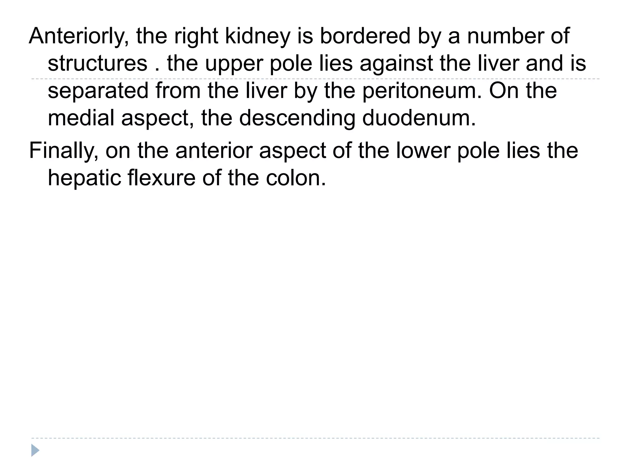 Renal anatomy | PPTX